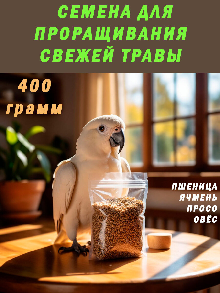 Трава для попугаев-зерносмесь для проращивания свежей травы