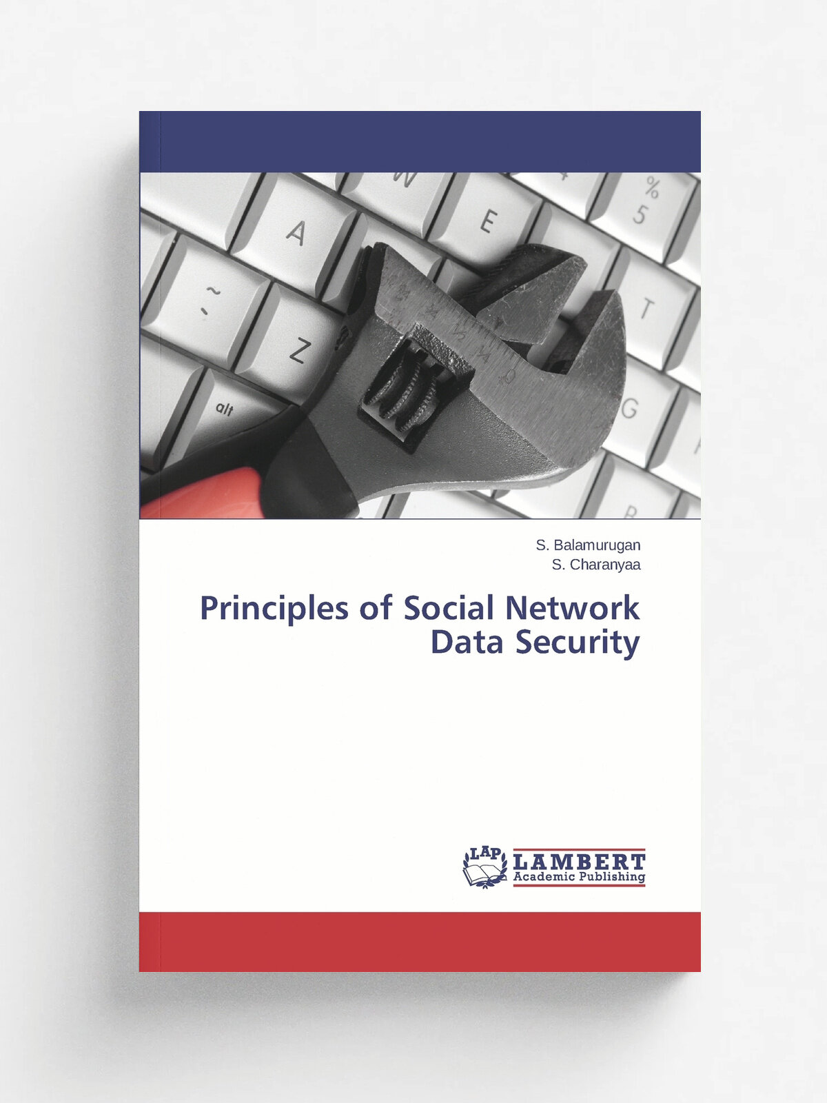 Principles of Social Network Data Security