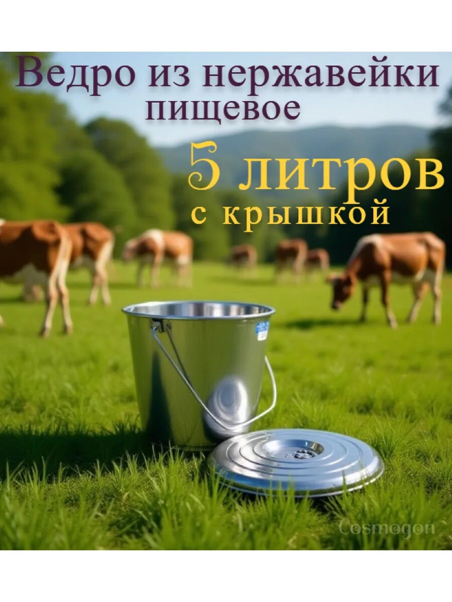 Ведро из нержавеющей стали, с крышкой, 5 литров, (Индия), AISI 202