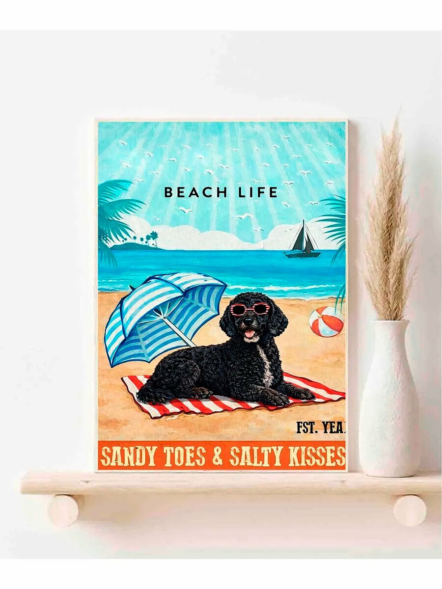 Португальская водяная собака, Beach Life, Плакат 30x42см