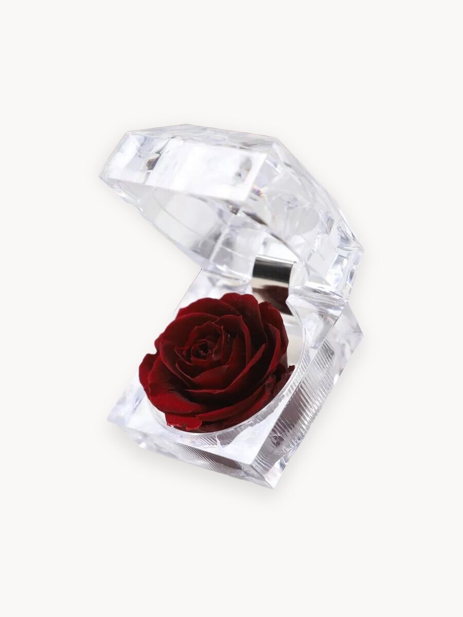 Вечная живая роза в колбе шкатулке