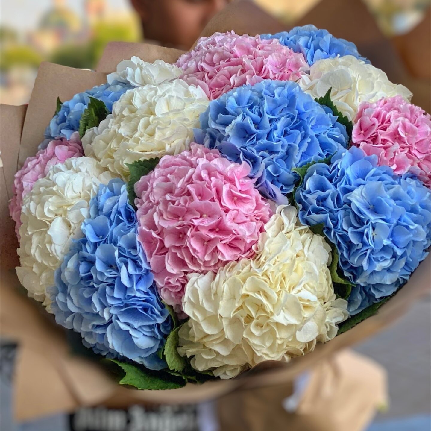Букет из гортензий 15 шт, красивый букет цветов, шикарный, премиум цветы, премиум букет