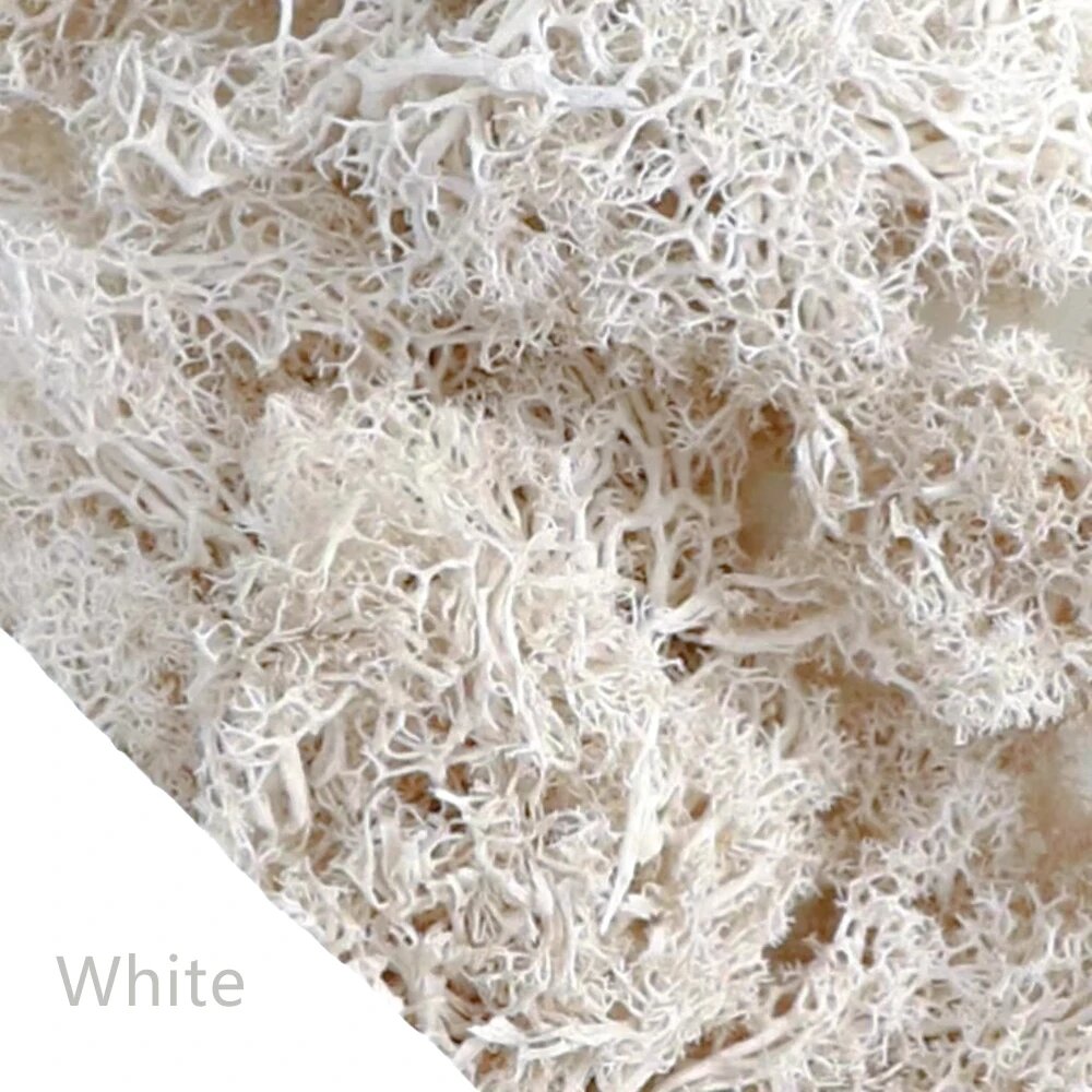 Искусственный мох белый Uflower 60g