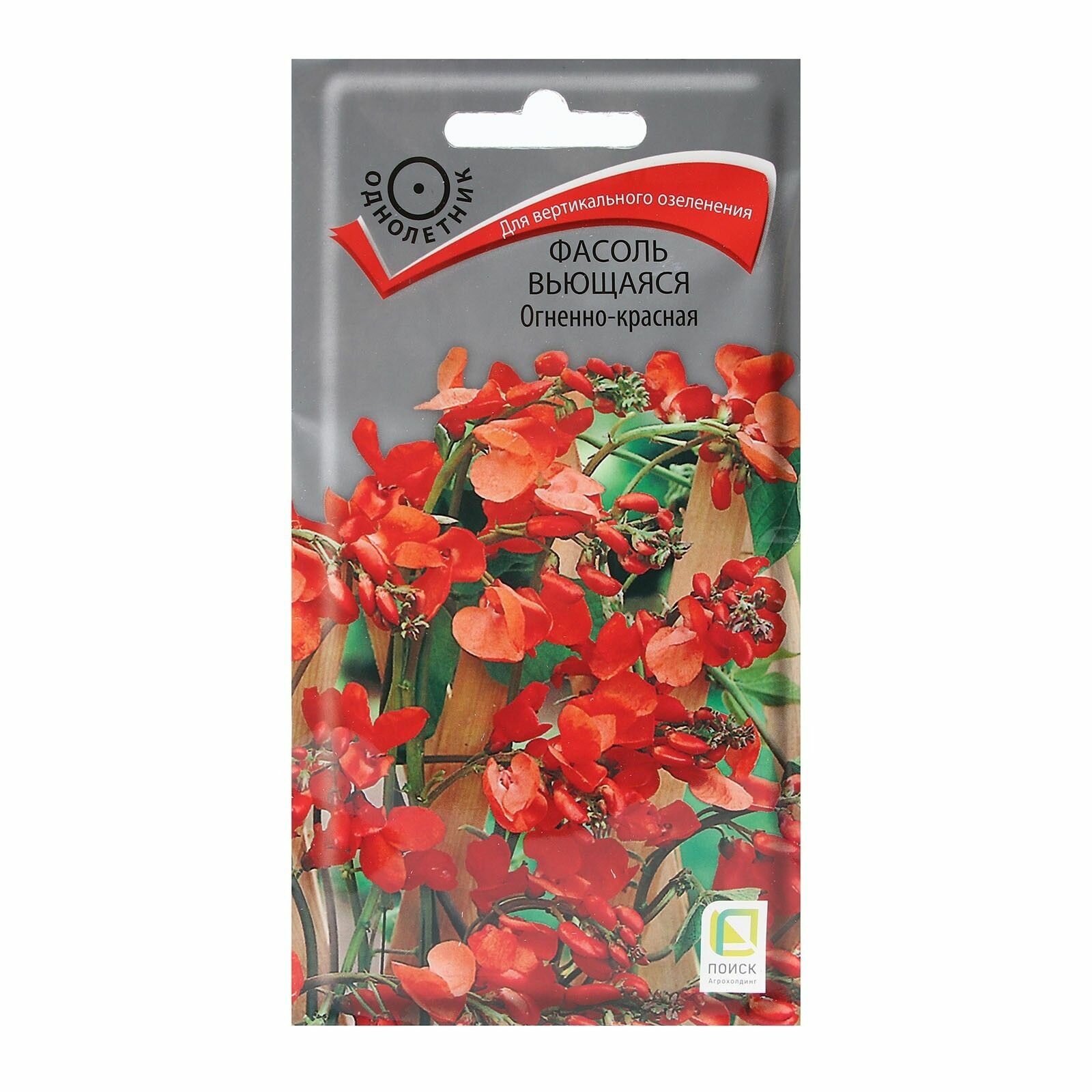 Семена цветов Фасоль вьющаяся "Огненно-красная" 5 шт, 7 уп