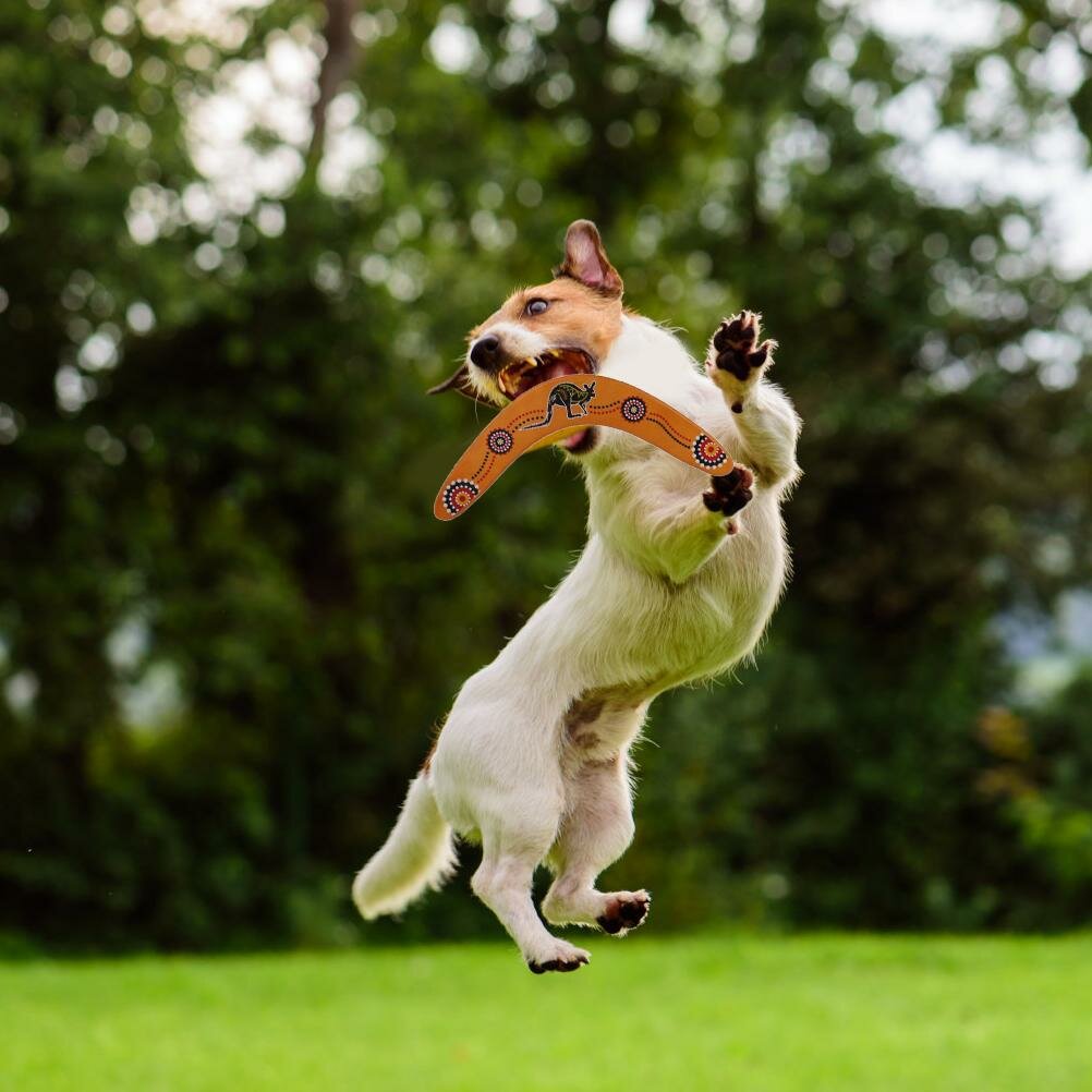 Деревянный бумеранг для подростков и взрослых V-образный бумеранг для игры на открытом воздухе, детская спортивная игрушка для метания