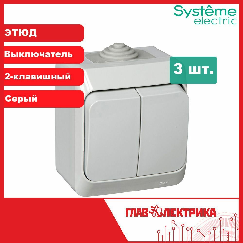 Выключатель двухклавишный Этюд, Серый, без подсветки, IP44, BA10-042C / Выключатель накладной (открытой установки) Этюд Systeme (Систем) Schneider Electric, комплект 3 шт.