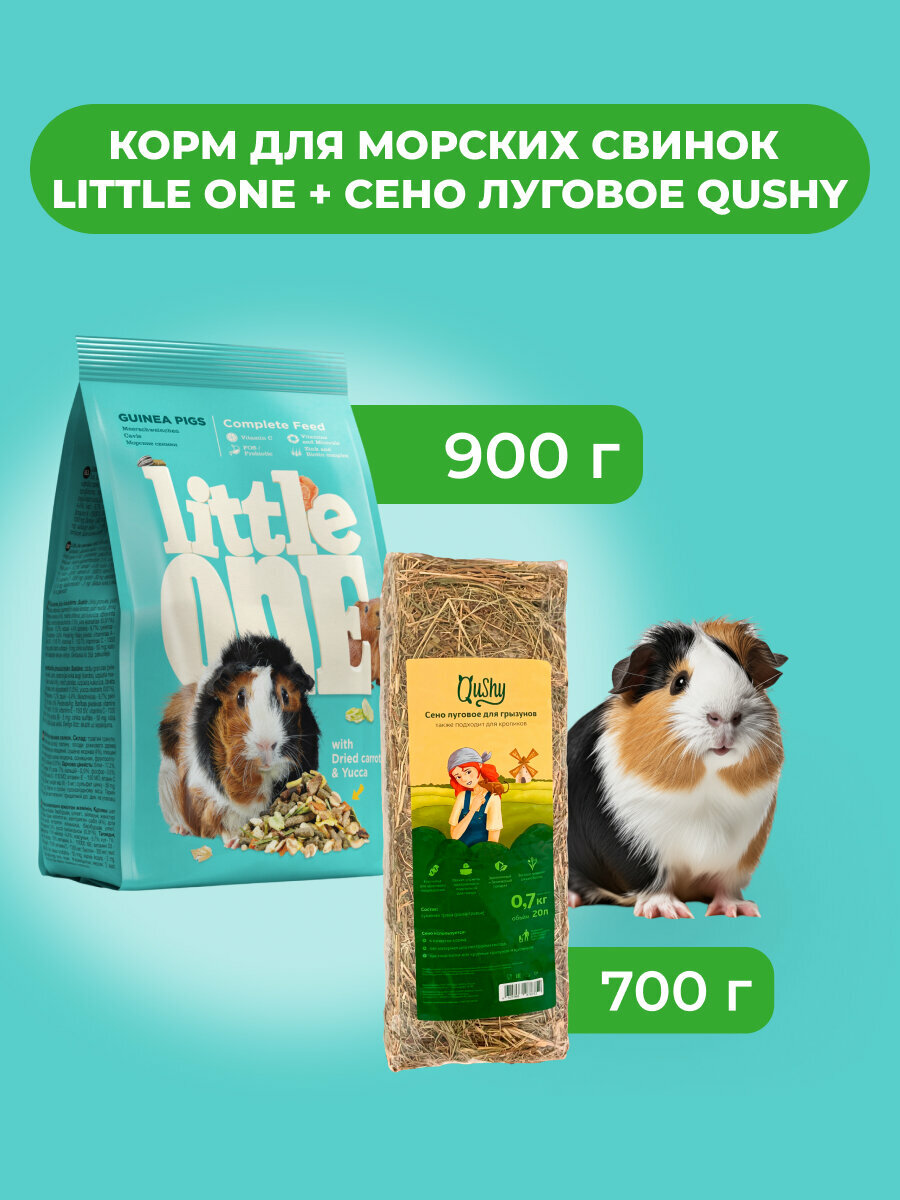 Little One Корм для морских свинок 900 г. + Сено луговое Qushy 700 г. (комбо-набор) 900+700 г.