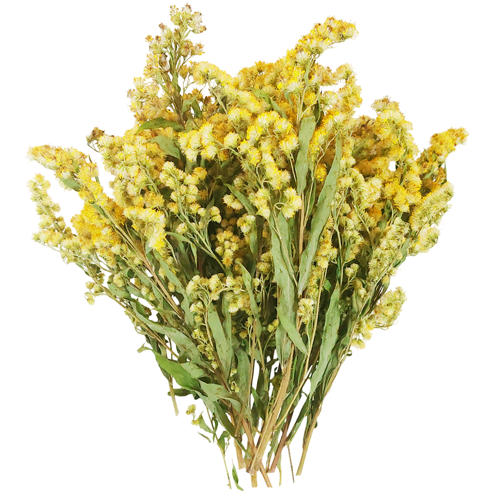 Золотая розга, цветы (золотарник) 30г.