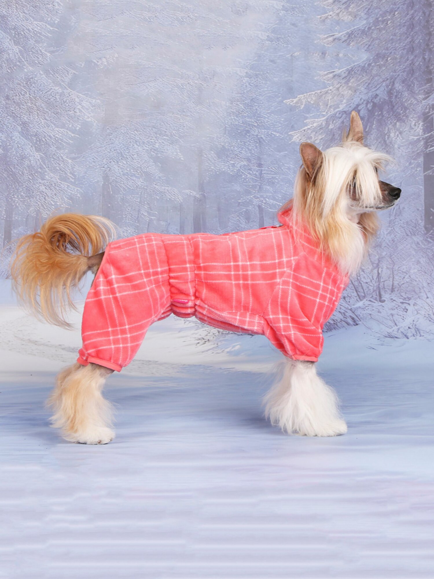 Плюшевый комбинезон для собак девочек мелких и средних пород