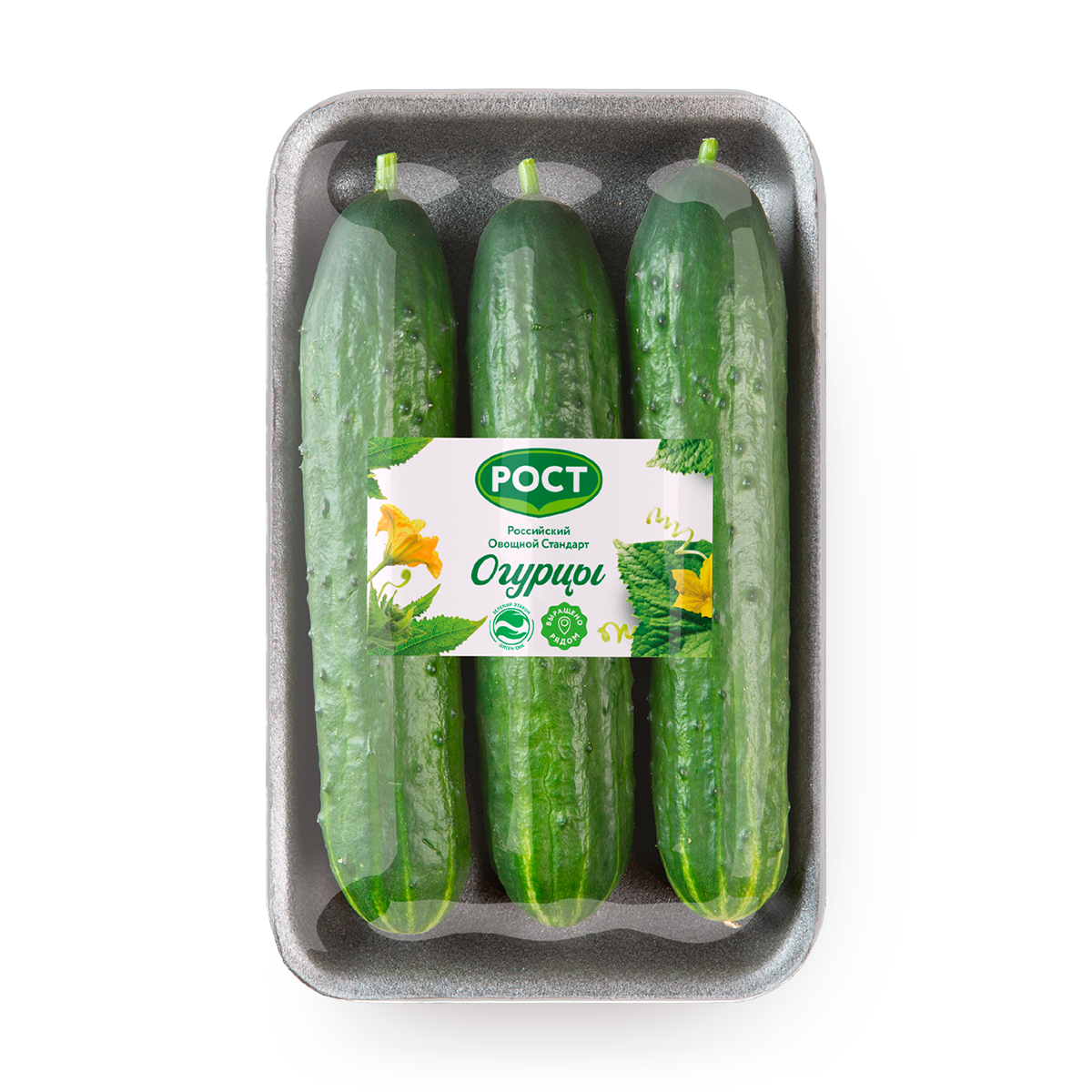 Огурцы средние колючие свежие, вес нетто 600 гр, условия хранения: от +1 °C до +18 °C