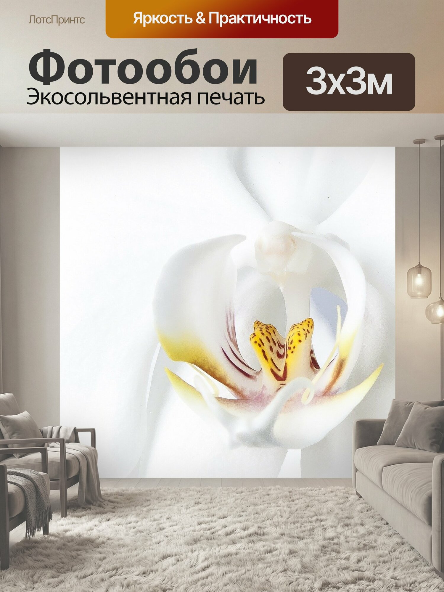 Фотообои "Фаленопсис, орхидея, белый" 300x300 см. экосольвентная печать