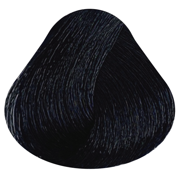 2/2 Иссиня-Черный 100 мл