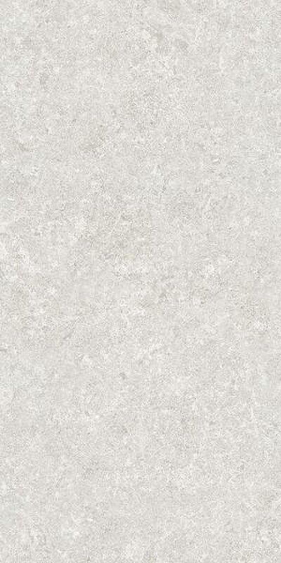 Керамогранит STN Verity Pearl Mt Rect CAN5IS 60х120 см серый матовая
