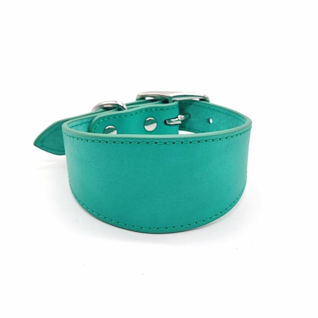 Ошейник для домашних животных из воловьей кожи-S-Emerald