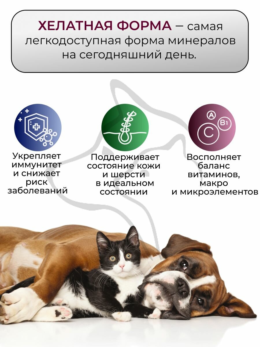 Мультивитаминный комплекс для собак и кошек "OligoVet Pet" — фото 1