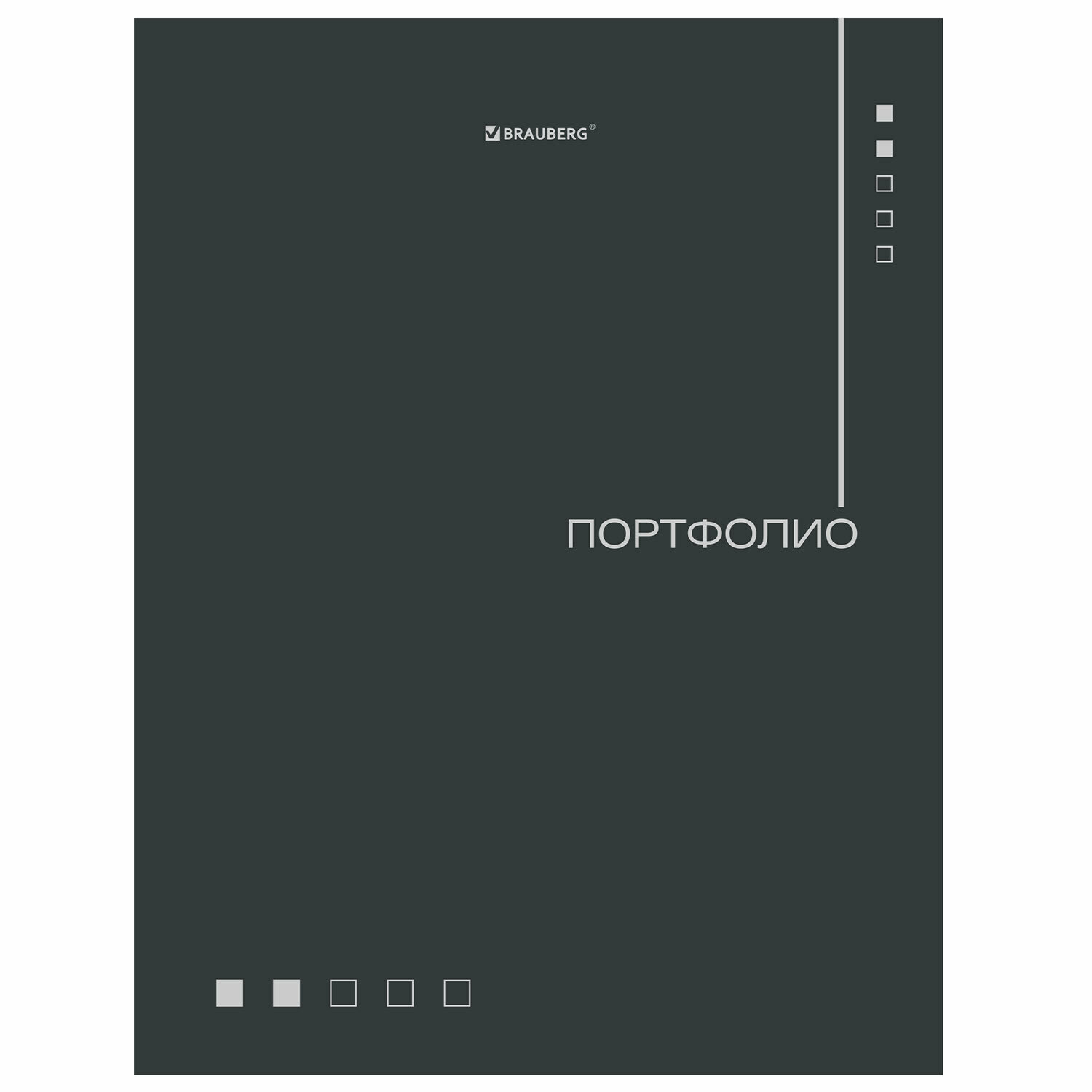 Папка-портфолио универсальная, 4 кольца, 20 файлов, 7БЦ матовая, BRAUBERG "Minimalism", 117553