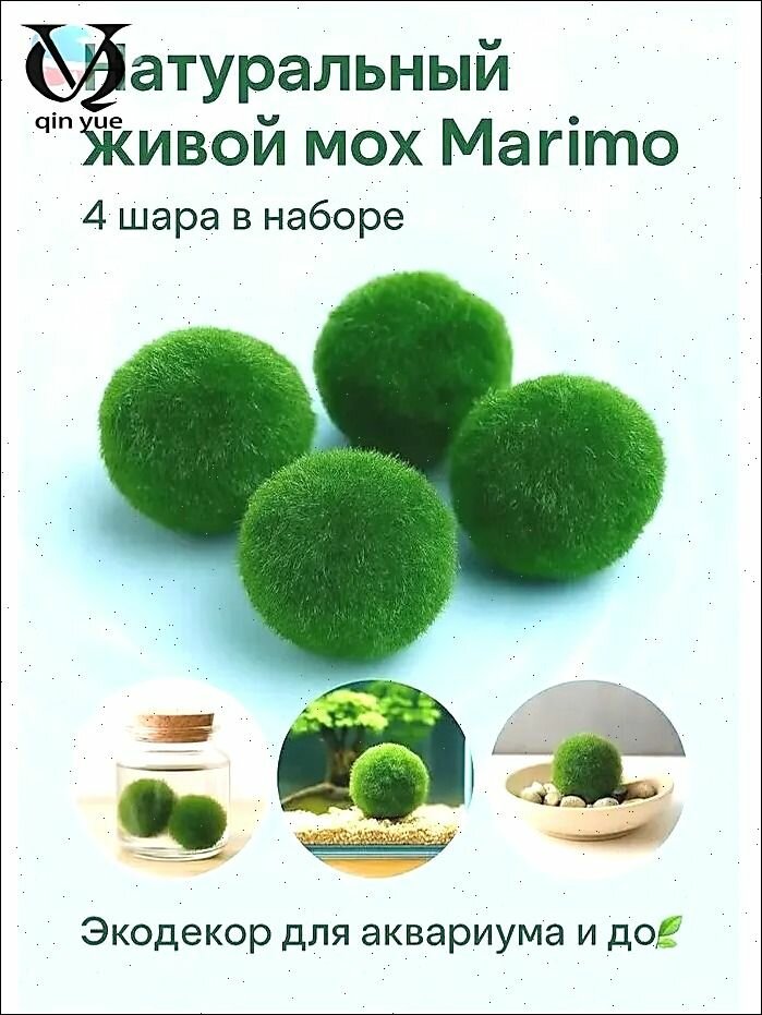 Кладофора шаровидная мох маримо (Aegagropila linnaei) 1см 4шт.