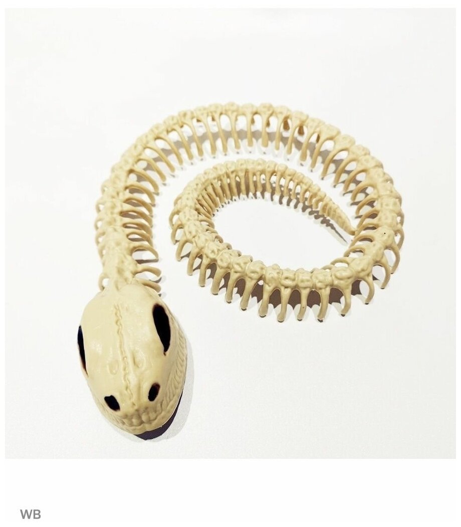 Скелет Сфера "Змея", бутафория, для декора, пластик, 15 см x 43 см x 3,5 см