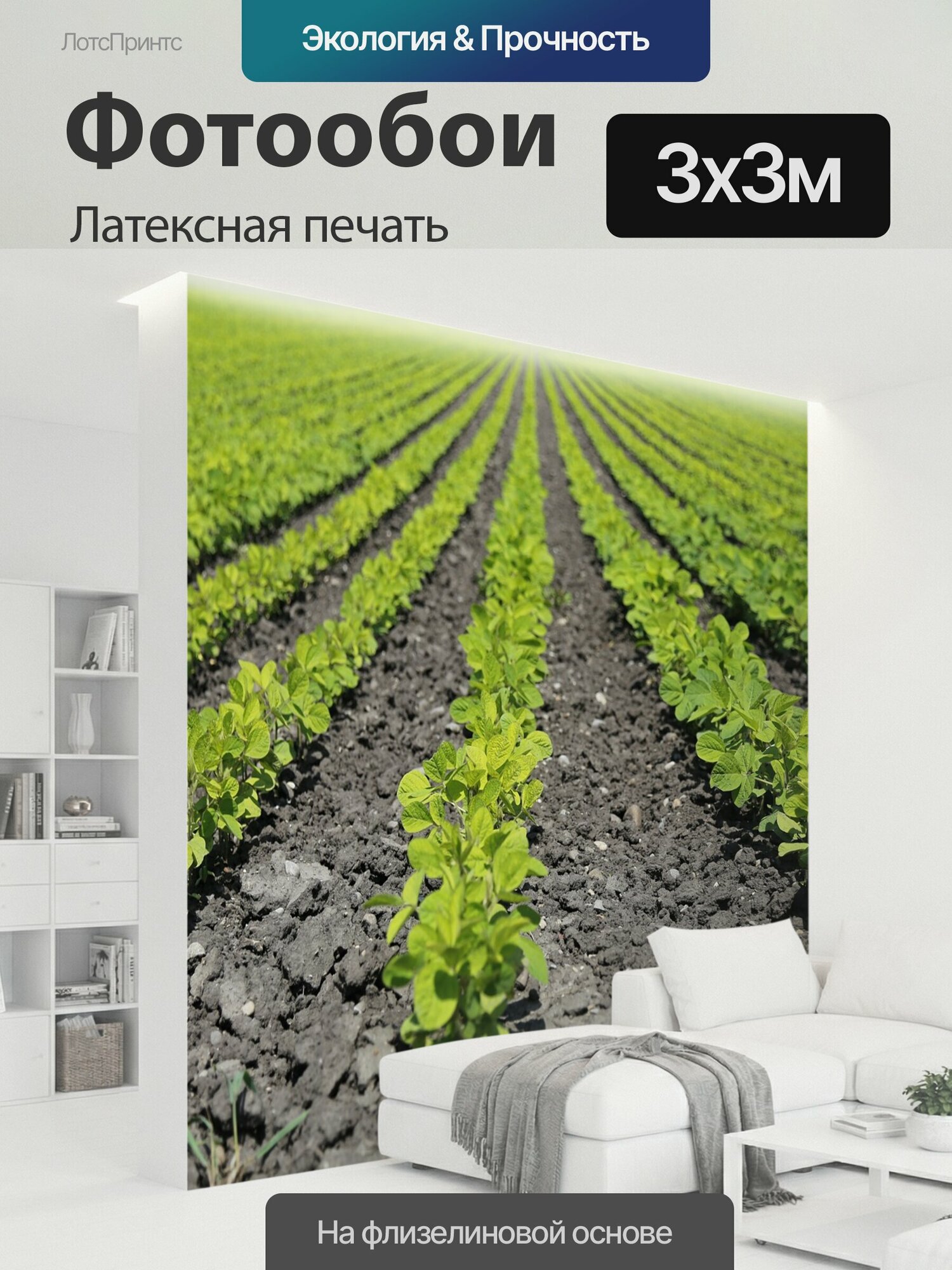 Фотообои моющиеся ударопрочные "Сельское хозяйство, поле, еда" 300x300 см. латексная печать