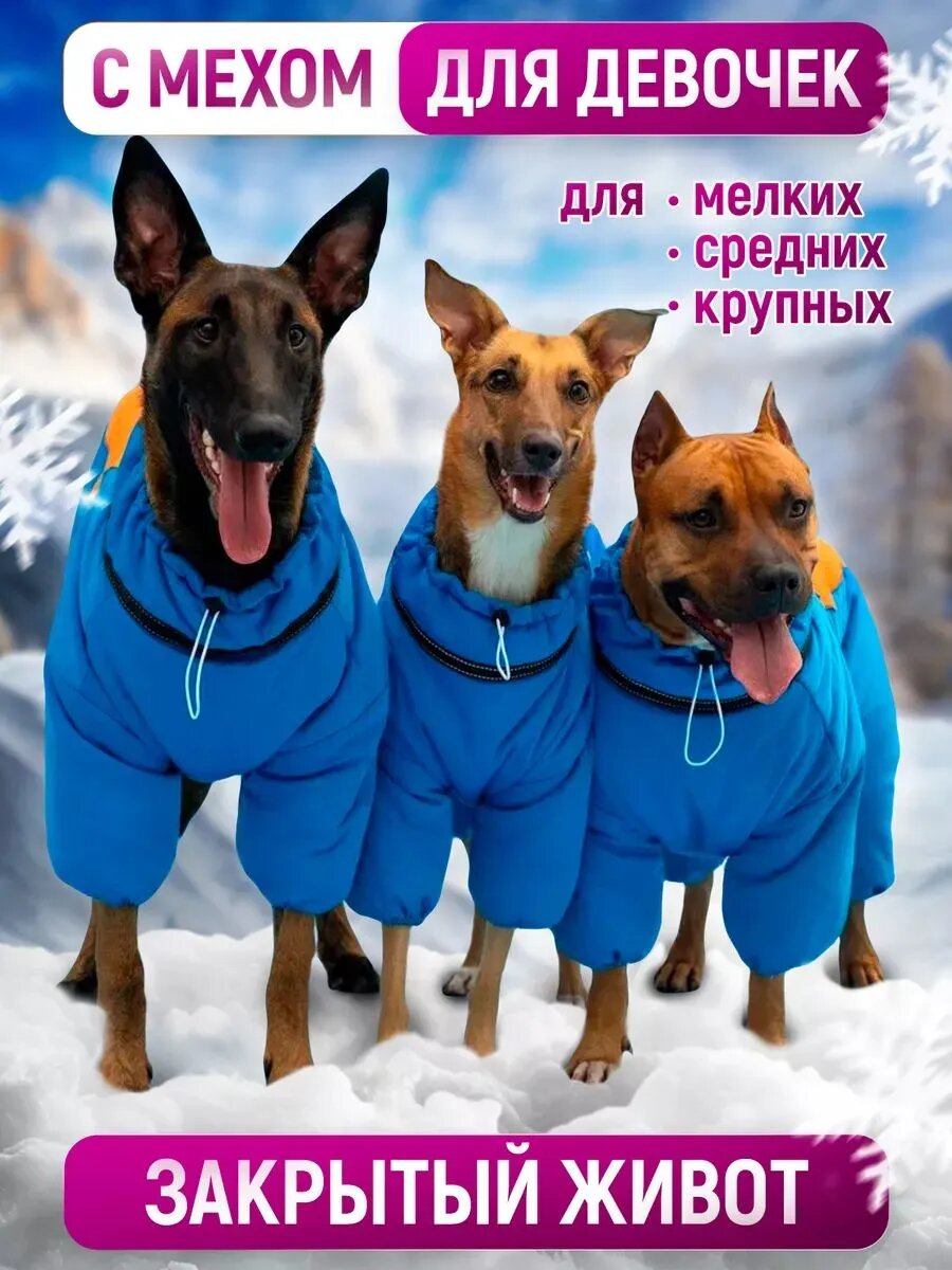 Утепленный комбинезон для собак девочек