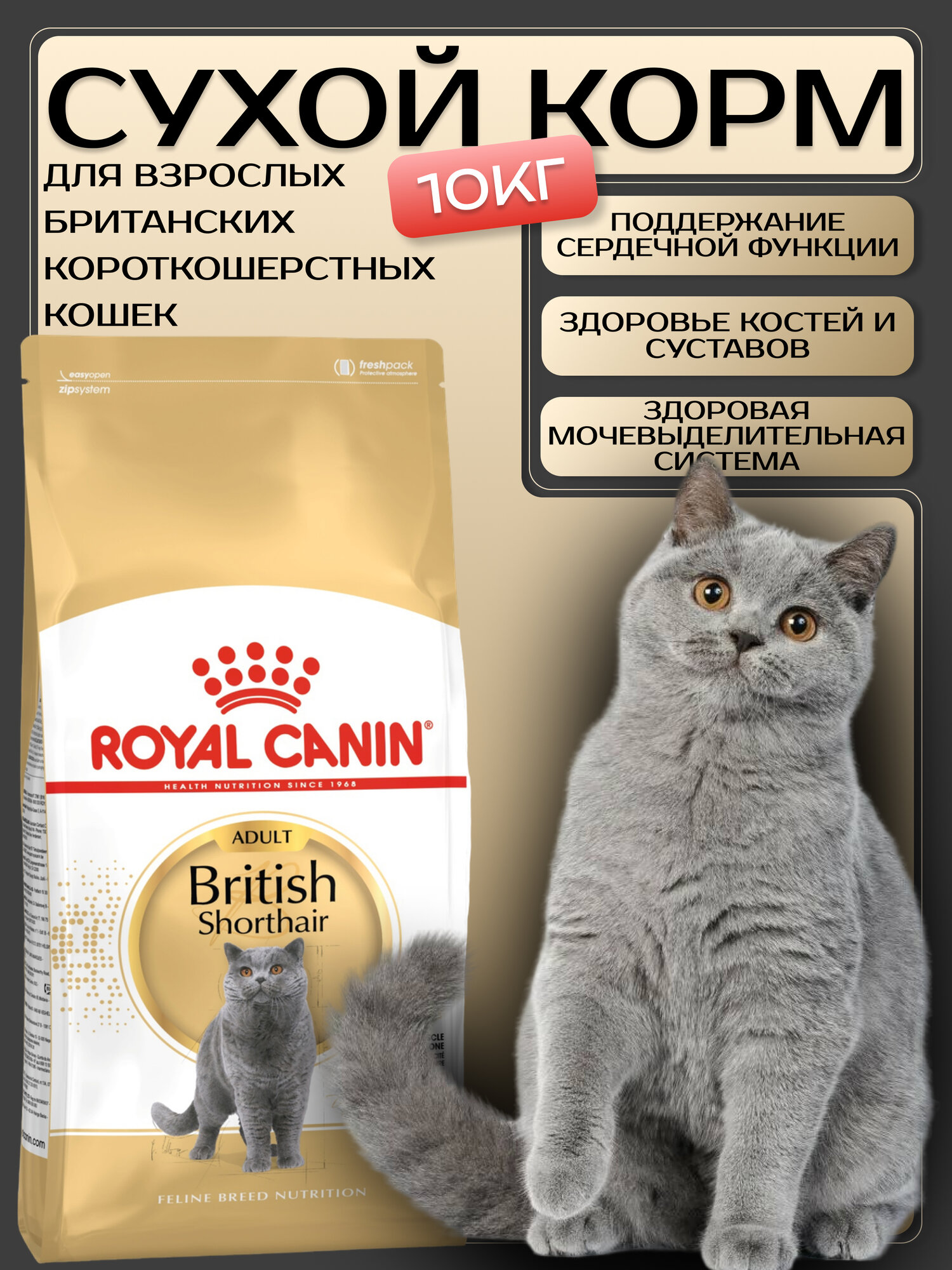 Royal Canin British Shorthair 34 Сухой корм для кошек породы Британская короткошерстная 10 кг