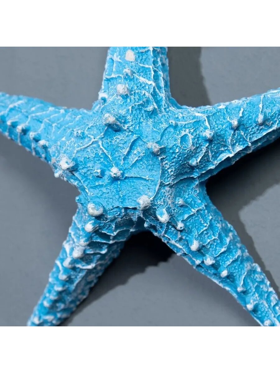Интерьерная морская звезда 13 см