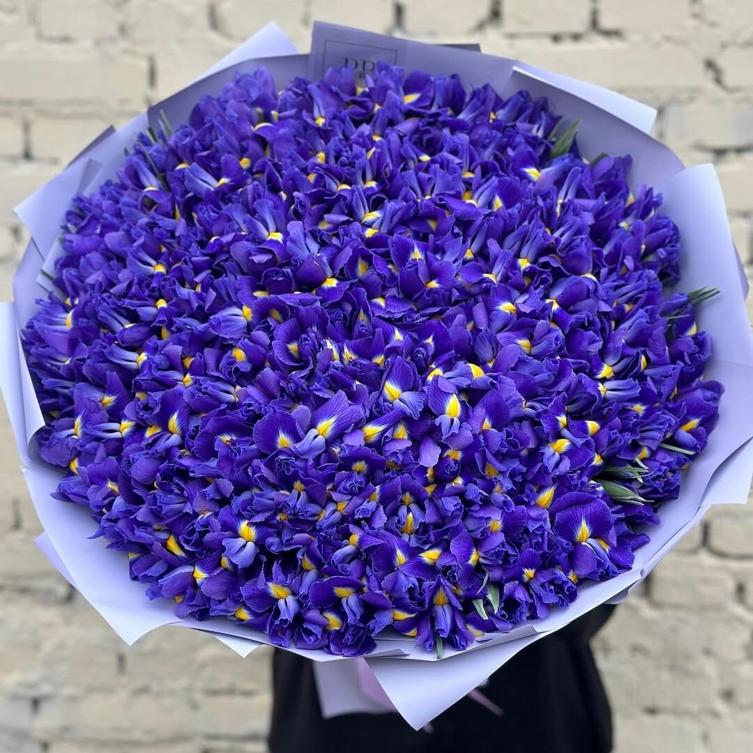 Букет из фиолетовых ирисов 201 шт, красивый букет цветов, шикарный, премиум цветы, премиум букет