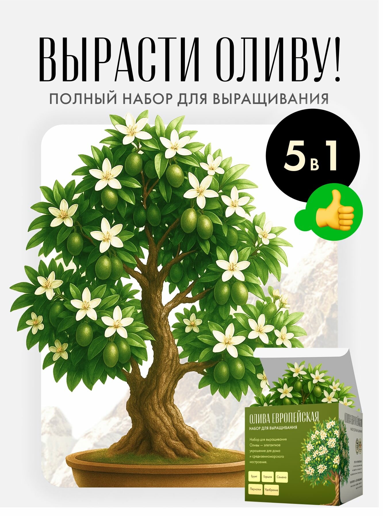 Оливковое дерево Олива Набор для выращивания