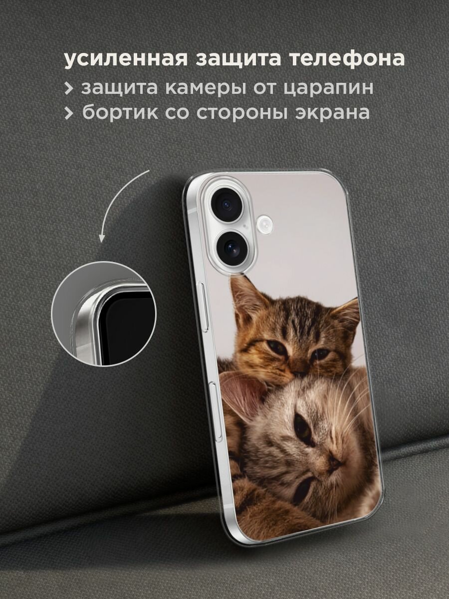 Чехол на Apple iPhone 17 / Айфон 17 с принтом "Нежные котята - 14 февраля" — фото 1