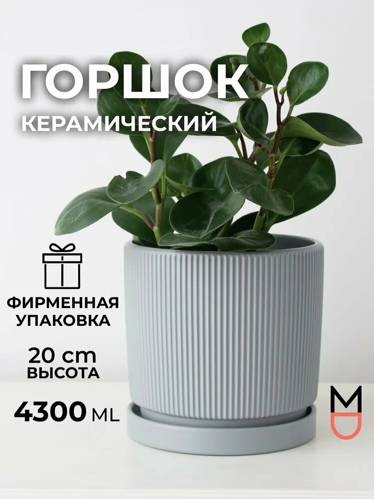 Левитирующий горшок 4.3 л, 19.7 см, 1 шт, цвет серый