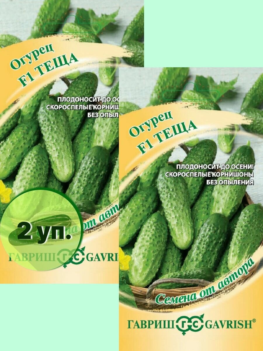 Семена огурца СеДеК "Тёща F1", для открытого грунта и теплиц, 10 семян