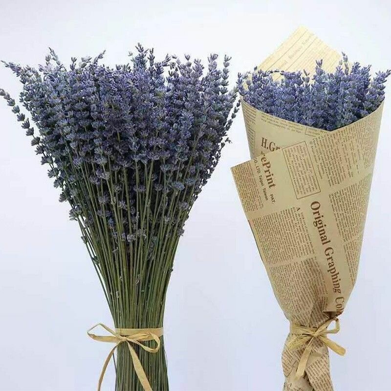 Сухоцветы Лаванда, 30 см, 100 гр, 1 шт