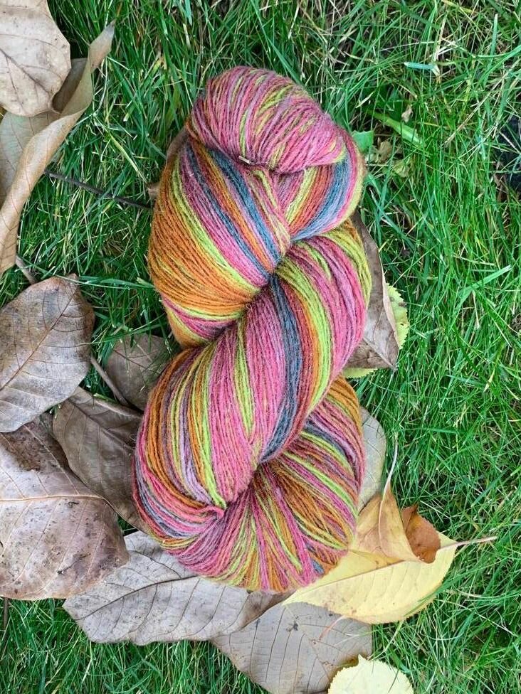 Пряжа Дундага (Dundaga) 6/1 multicolor S-12 197г