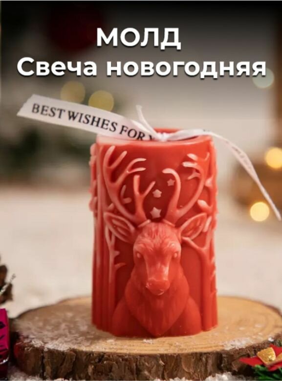 Молд