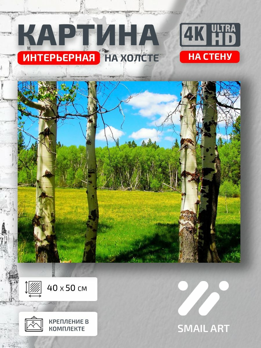 Картина на холсте интерьерная 40 на 50 на стену Рощью Landscape для кабинета пейзаж декор