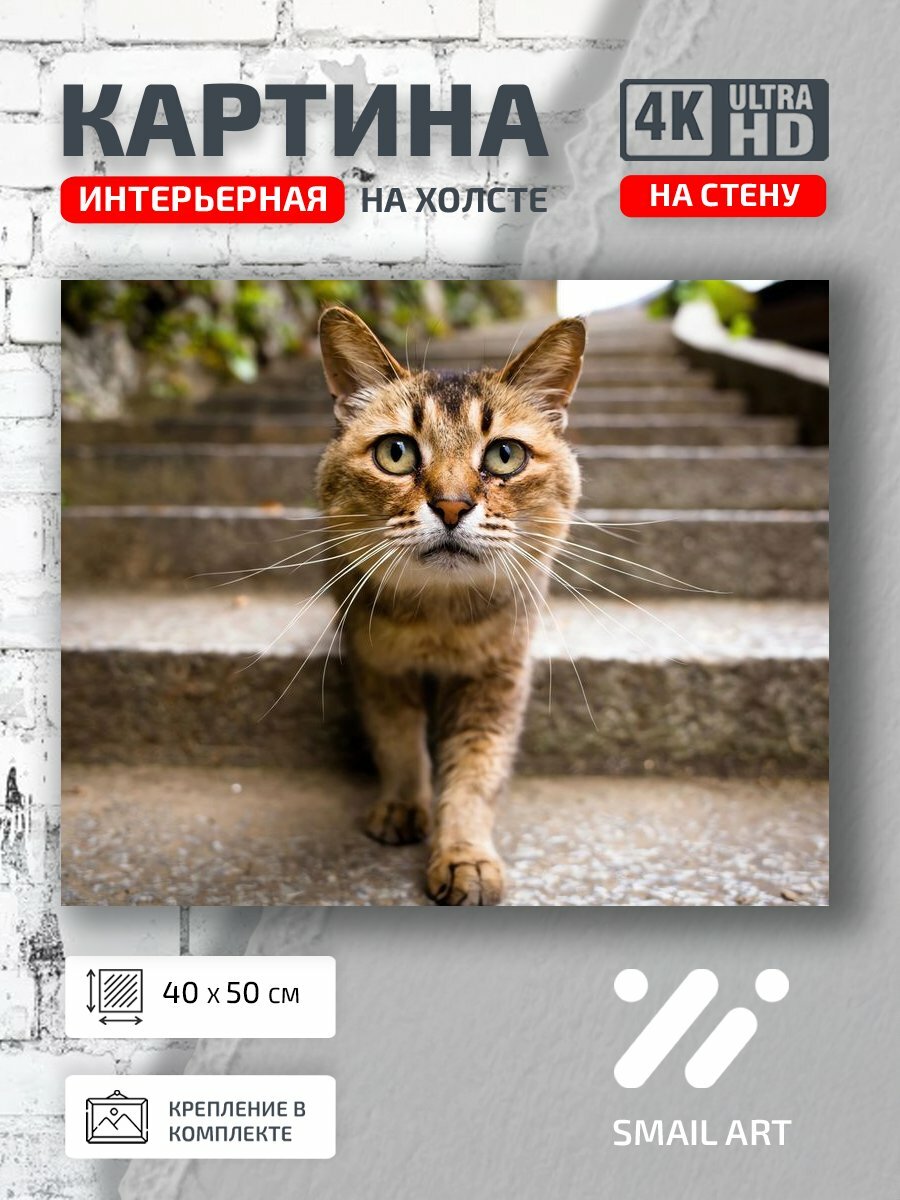 Картина на холсте интерьерная 40 на 50 на стену Ступеньки Landscape для офиса пейзаж декор