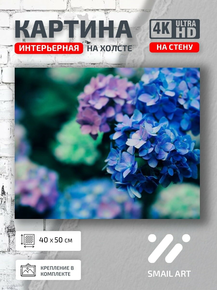 Картина на холсте интерьерная 40 на 50 на стену фиолетовых цветов для гостиной атмосфера