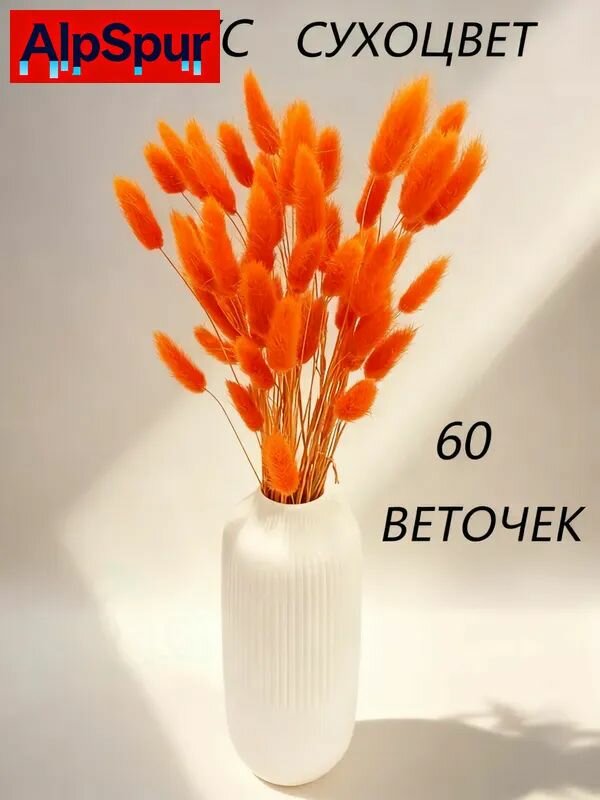 Сухоцветы Лагурус, 55 см, 100 гр, 60 шт