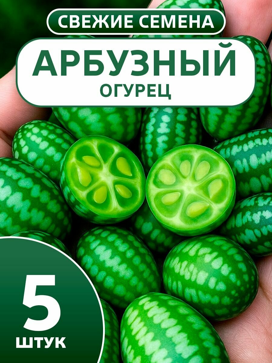Семена Арбузный огурец Мелотрия для выращивания, 5 шт
