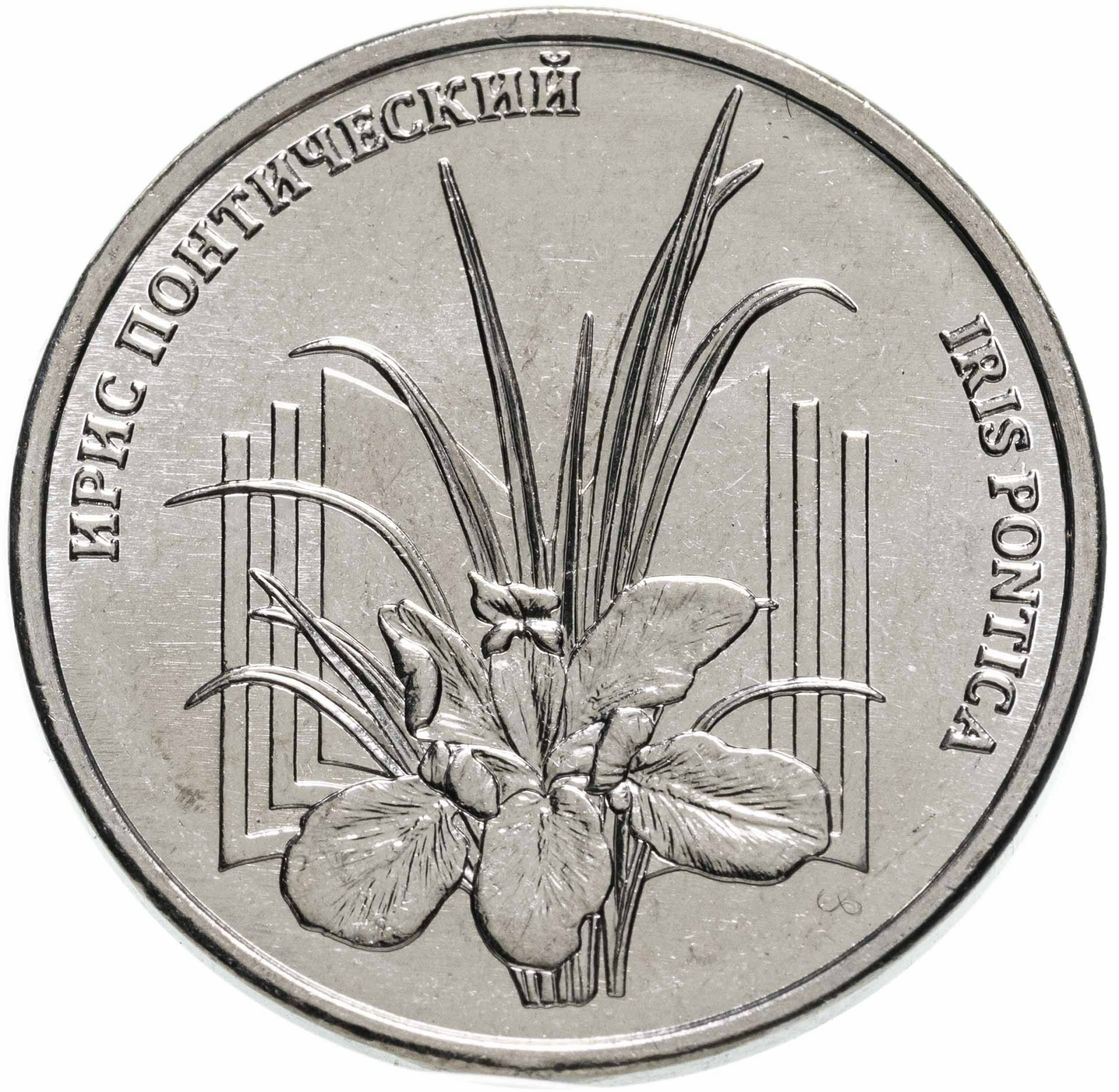 Приднестровье 1 рубль 2024 "Ирис понтический", Сталь с никелевым покрытием, в сохранности UNC