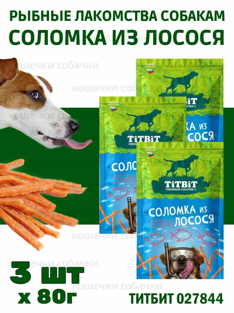 Титбит Рыбные лакомства для собак Соломка из лосося 3шт по 80г