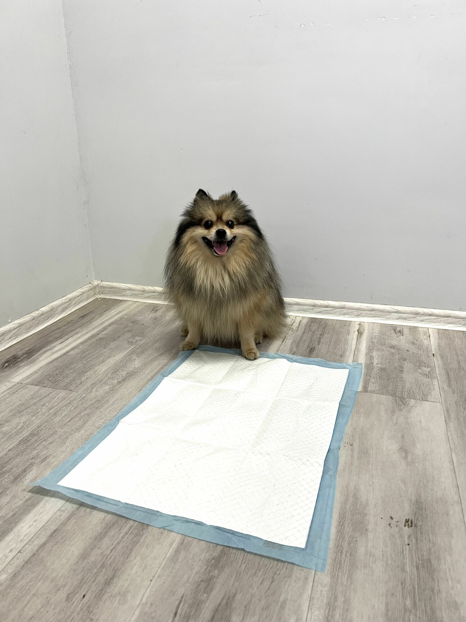 Впитывающие пеленки для собак и кошек 45х60 см, усиленные подгузники с высокой абсорбцией, 100 шт