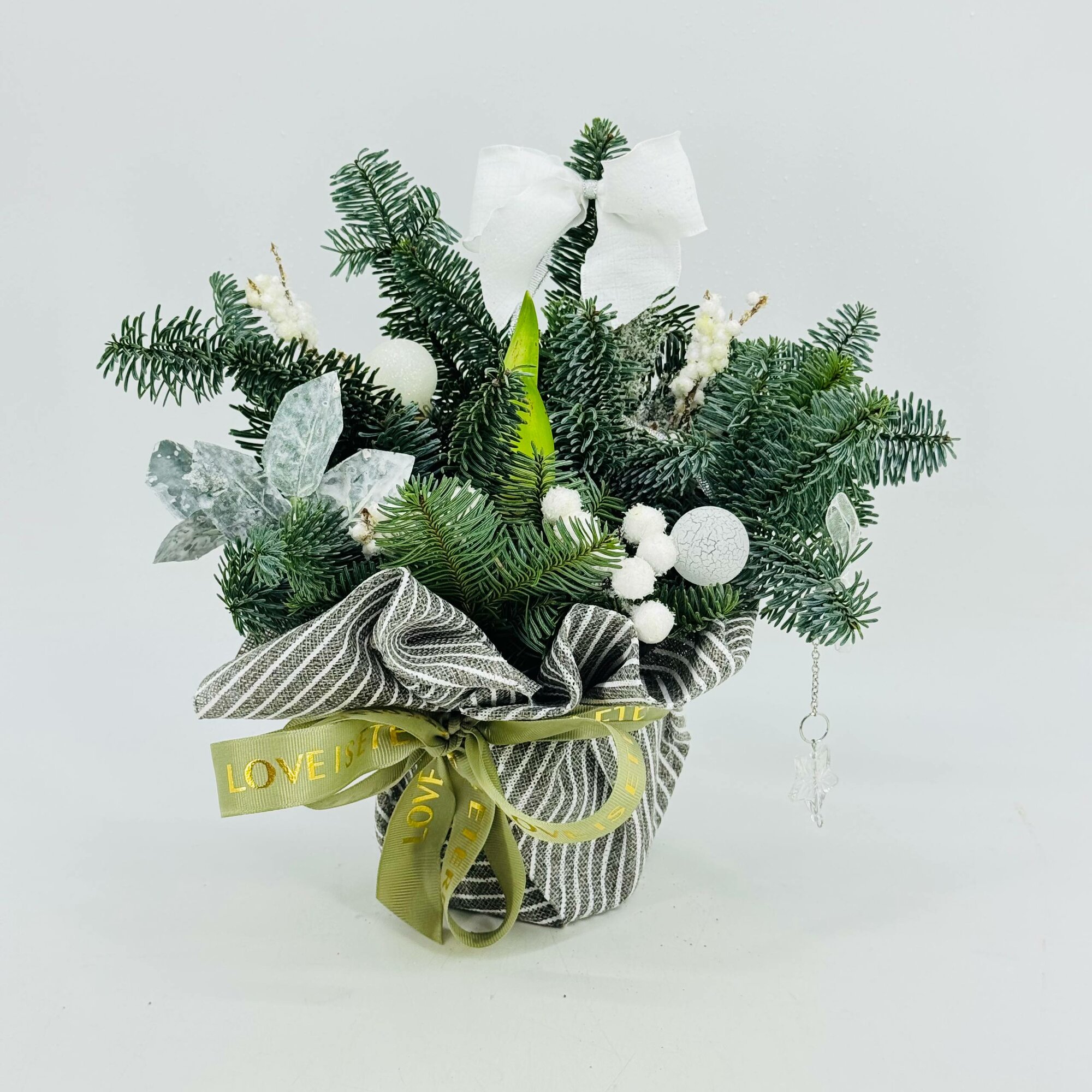 Новогодняя композиция из нобилиса в кашпо с луковицей Амариллис. Зимний букет