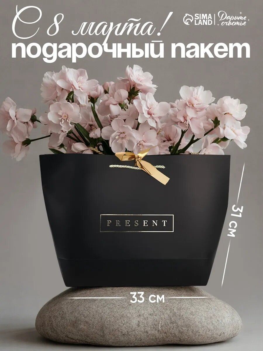 Пакет подарочный "Present", 33 х 31 х 13 см, черный, лента в комплекте