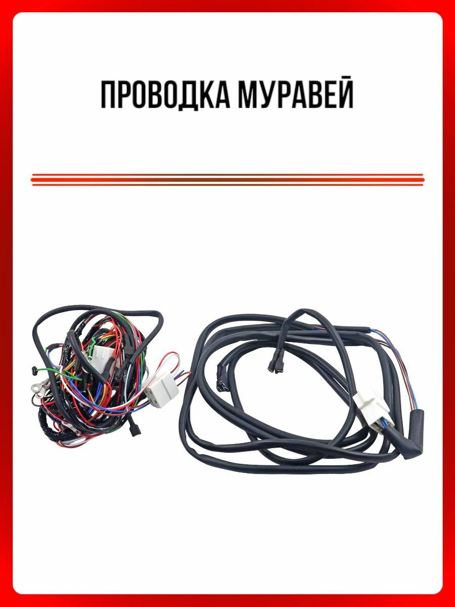 Проводка Муравей