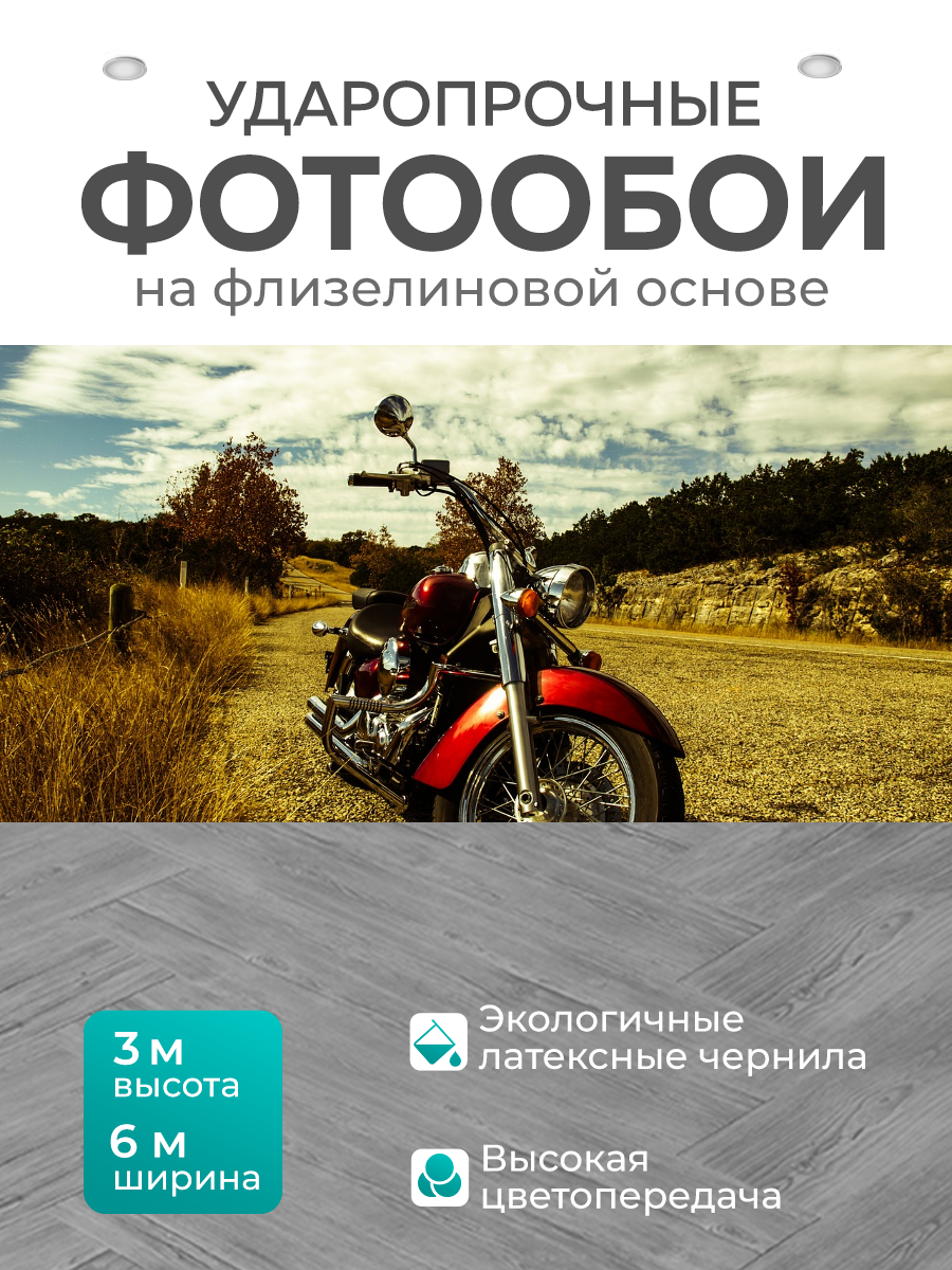 Фотообои моющиеся ударопрочные "Мотоцикл, дорога, байкер" 600x300 см. флизелиновые на стену