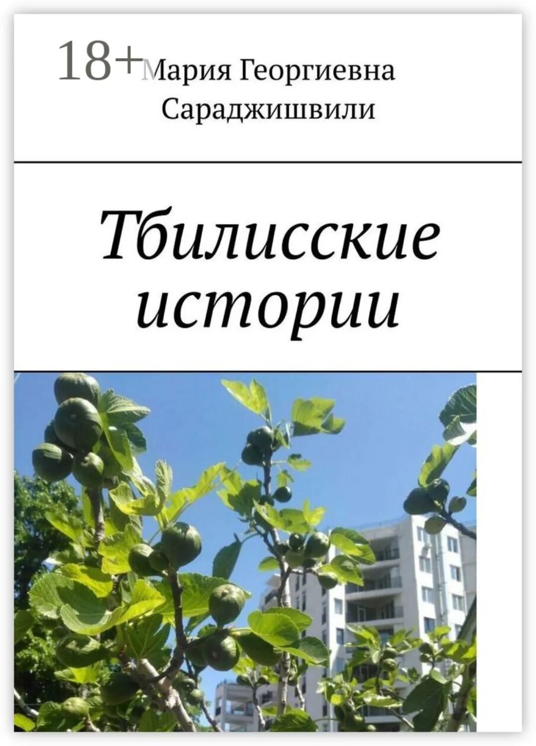 Тбилисские истории [Цифровая книга]