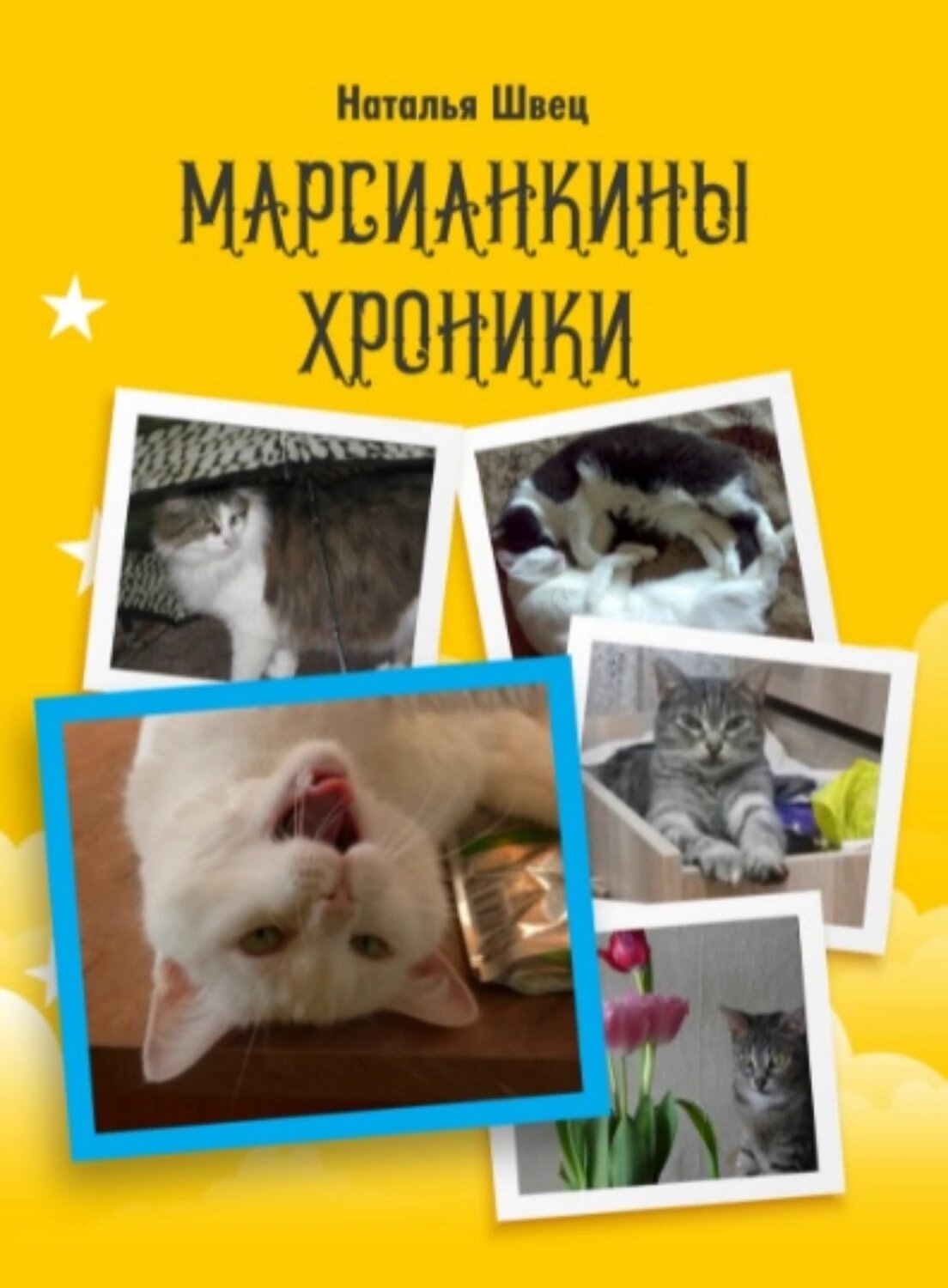 Марсианкины хроники [Цифровая книга]