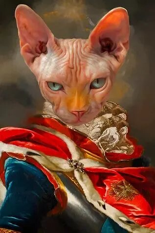 Алмазная Мозаика "сфинкс, Кот" 40x50 См Алмазная Вышивка / Картина Стразами Подарков / Украшения