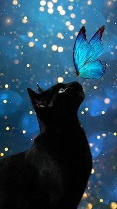 Алмазная Мозаика "Черная Кошка И Бабочка" 40X50 См Алмазная Вышивка / Картина Стразами Подарков / Украшения